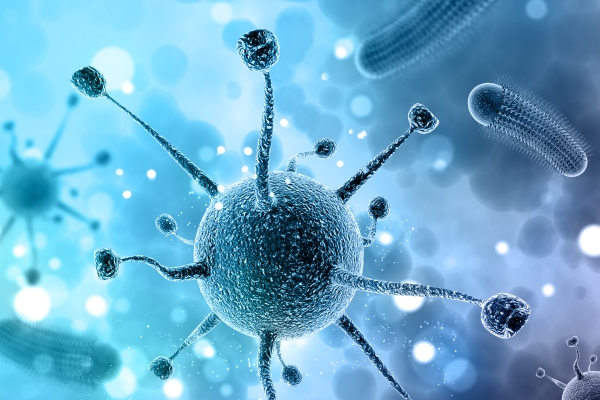 Como as superbactérias podem se tornar a principal causa de morte no ...